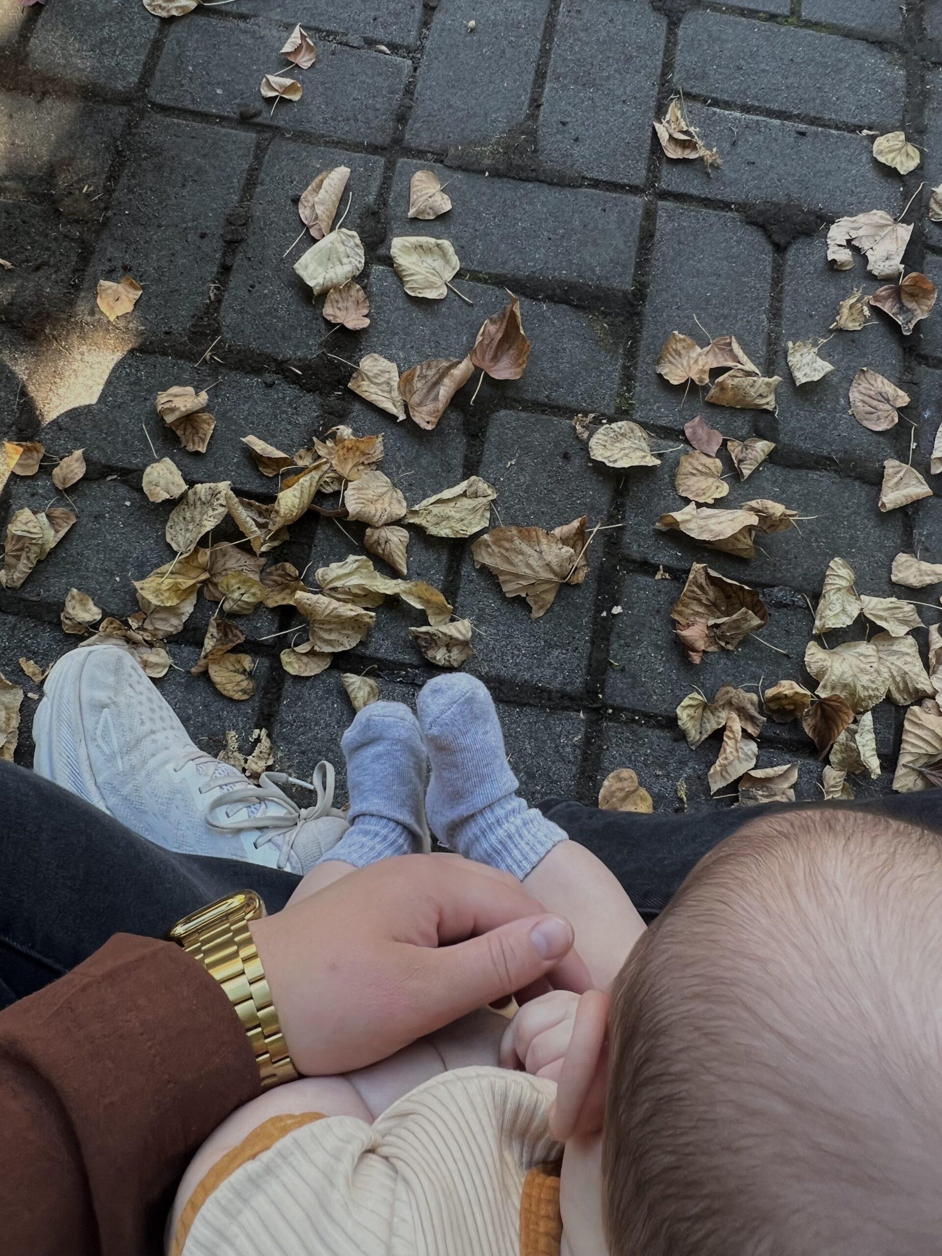 Colds, Coughs, and Ear Infections: Natural Immune Support for Kids This ...